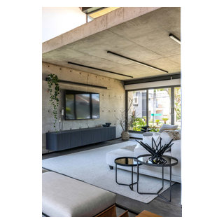 SR House - Modern - Living Room - Dallas - by Carina Vaz Interiors ...