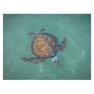 Custom Tile Inlays - Modern - Chicago - by Quantus Pools | Houzz