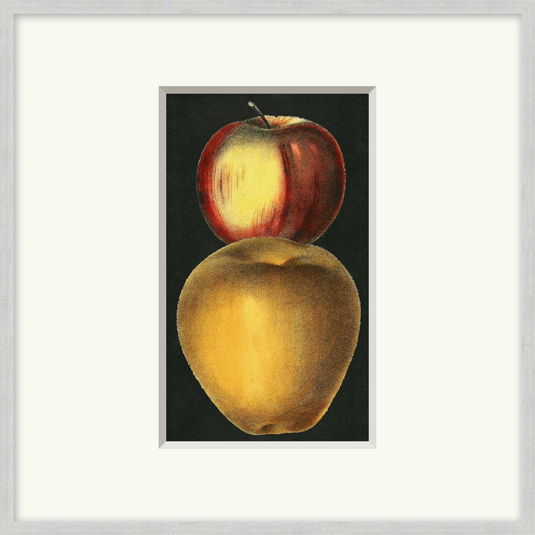 Fruit Study 1, Giclee Reproduction Artwork, 14.5x14.5 - Farmhouse ...