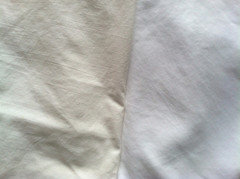 Tide Plus Colorguard?