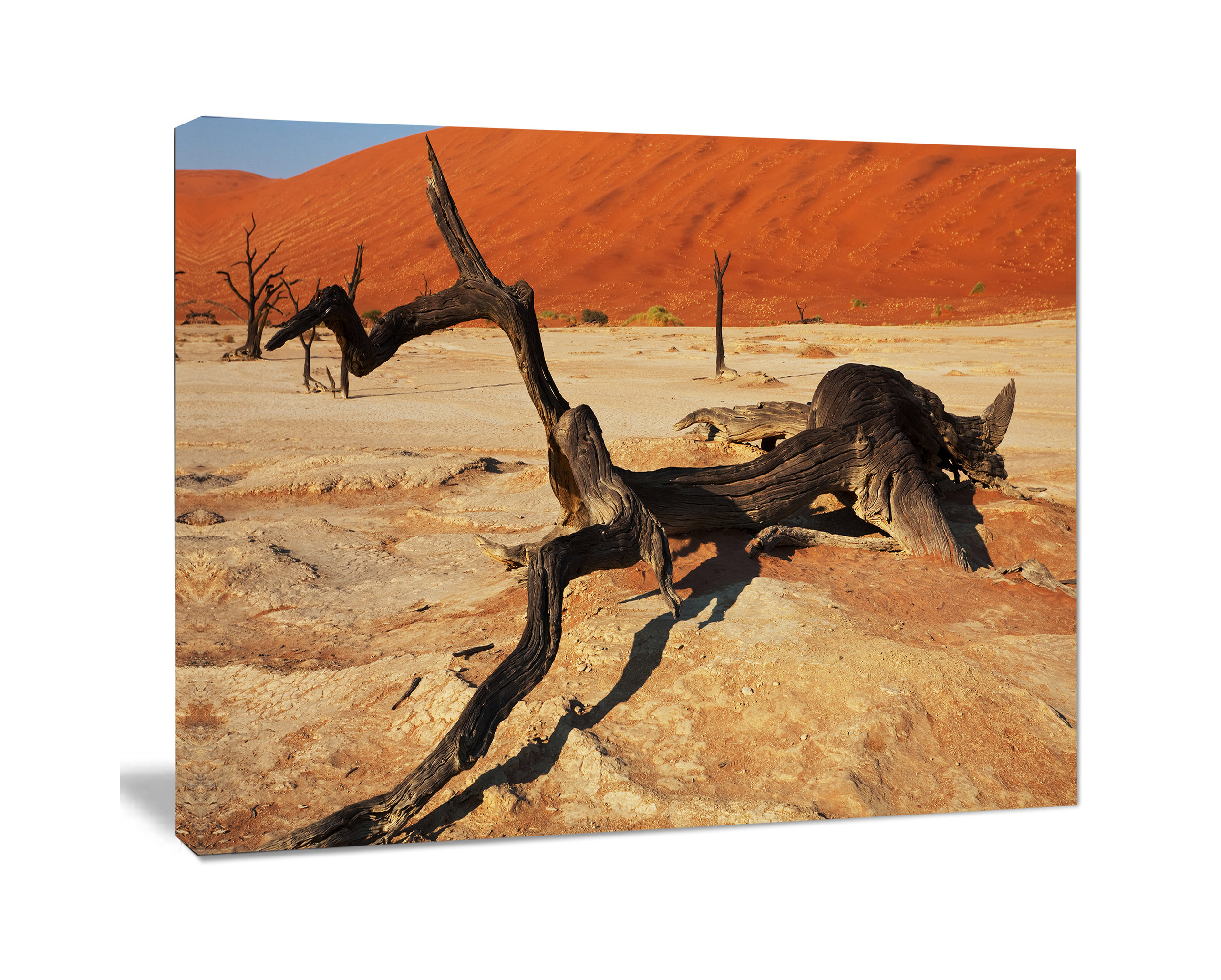 Decayed Tree in Dead Valley, African Landscape Canvas Art Print, 40"x30 ...