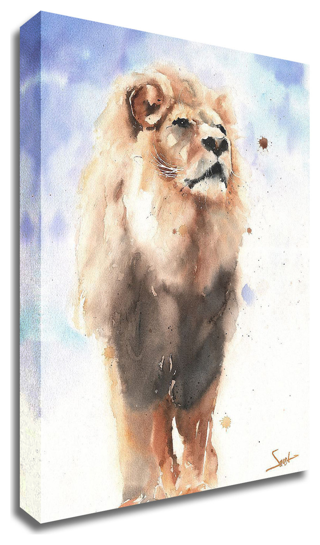 "Lion" by Eric Sweet, Print on Canvas, 18"x26", 18 x 26 - Contemporary ...