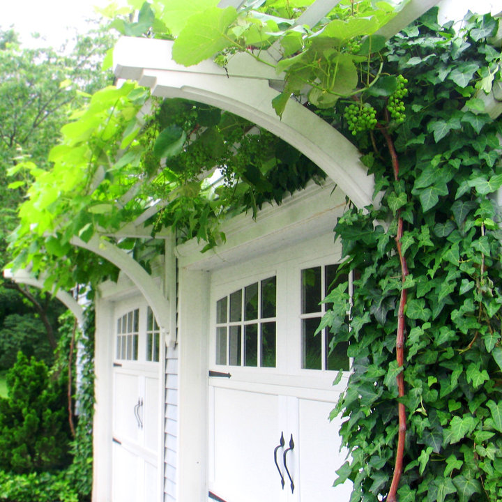 75 Beautiful Ornamental Grape Vine Home Design Ideas & Designs | Houzz AU