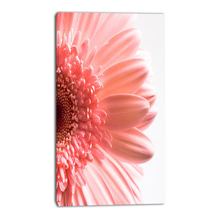 Large Pink Daisy Flower Petals, Floral Canvas Art Print, 16"x32 ...
