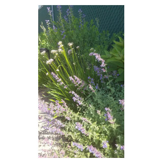 Pollinator Garden - Rustic - Landscape - New York - by Magical ...