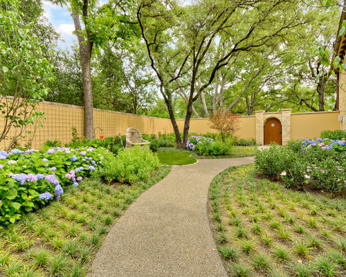 Monkey Grass | Houzz