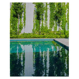 Waverley - Pool + Garden - Contemporary - Sydney - by GOODMANORS Pool ...