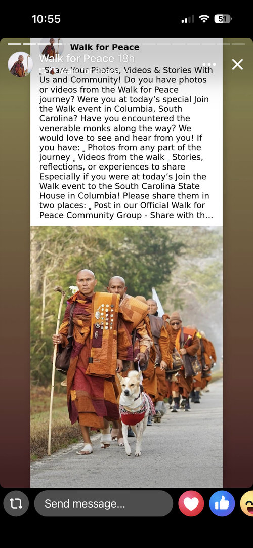 Walk for Peace in Spirit with them