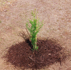 My first online order.