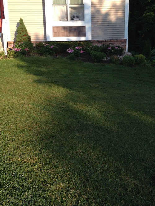Landscaping the corner slope | Houzz Forum