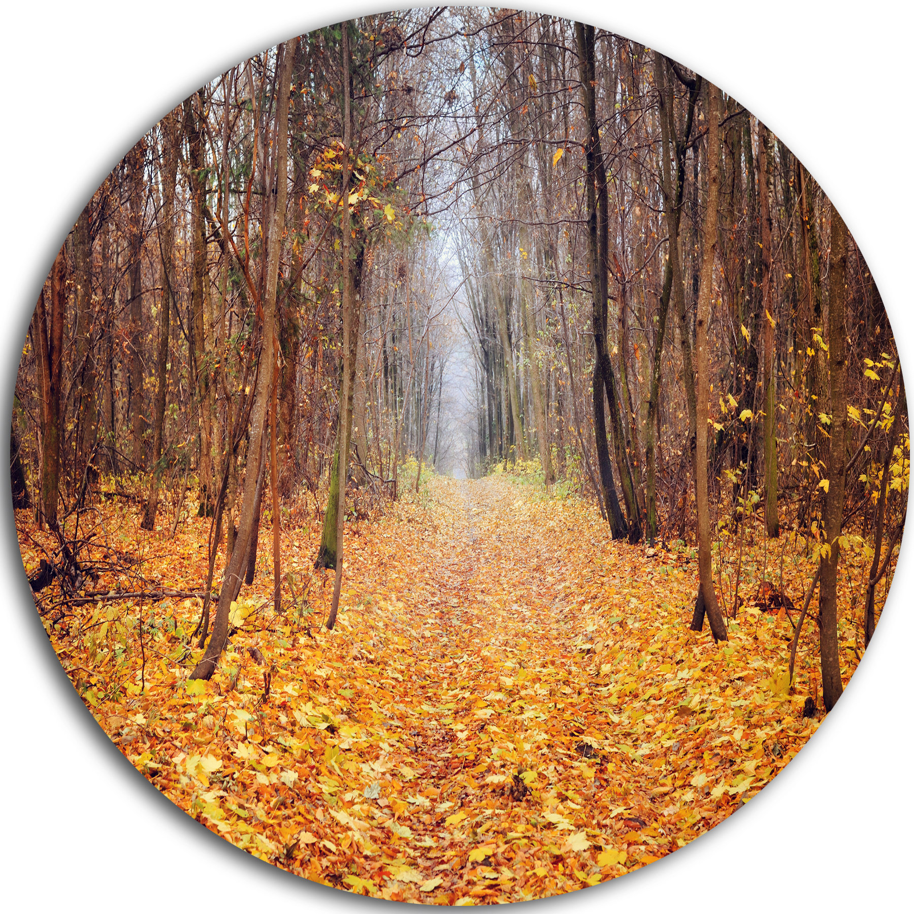 Yellow Fallen Leaves In Morning, Landscape Photo Round Wall Art, Disc ...