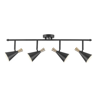 Aurora 4-Light Matte Black Track Lighting Kit with Brass Accents ...