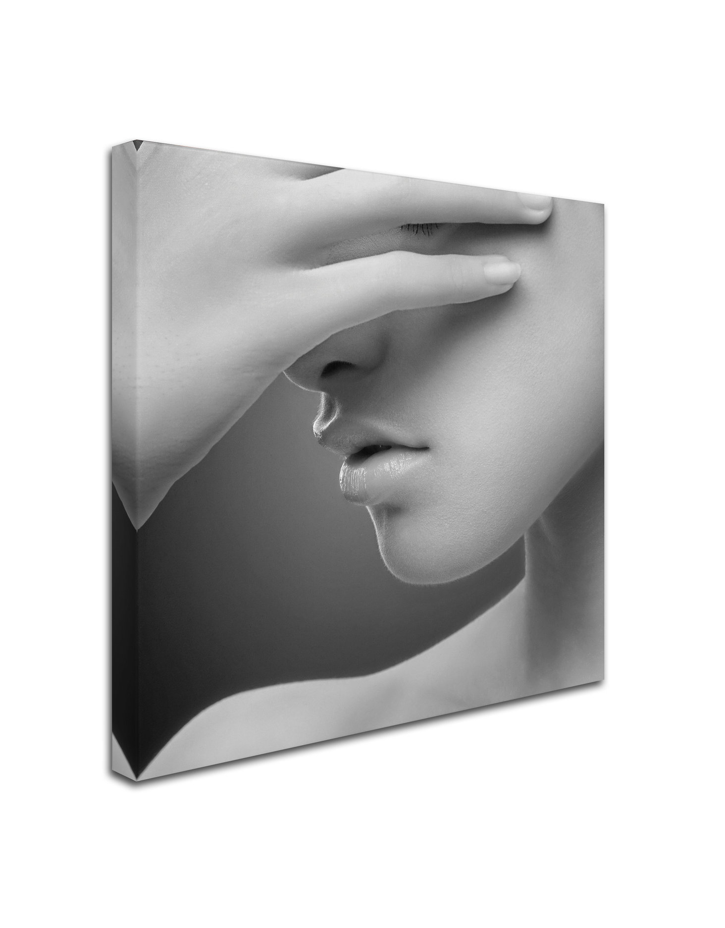 Widi Hardhanu 'Face' Canvas Art, 14x14 - Contemporary - Prints And ...