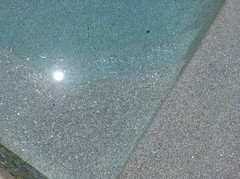 Adding abalone to pebble sheen pool