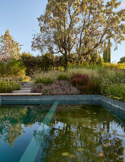 Yard of the Week: Low-Water Landscape With a Natural Pool