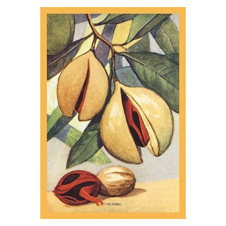 Nutmeg, 12" x 18" - Traditional - Prints And Posters - by Buyenlarge ...