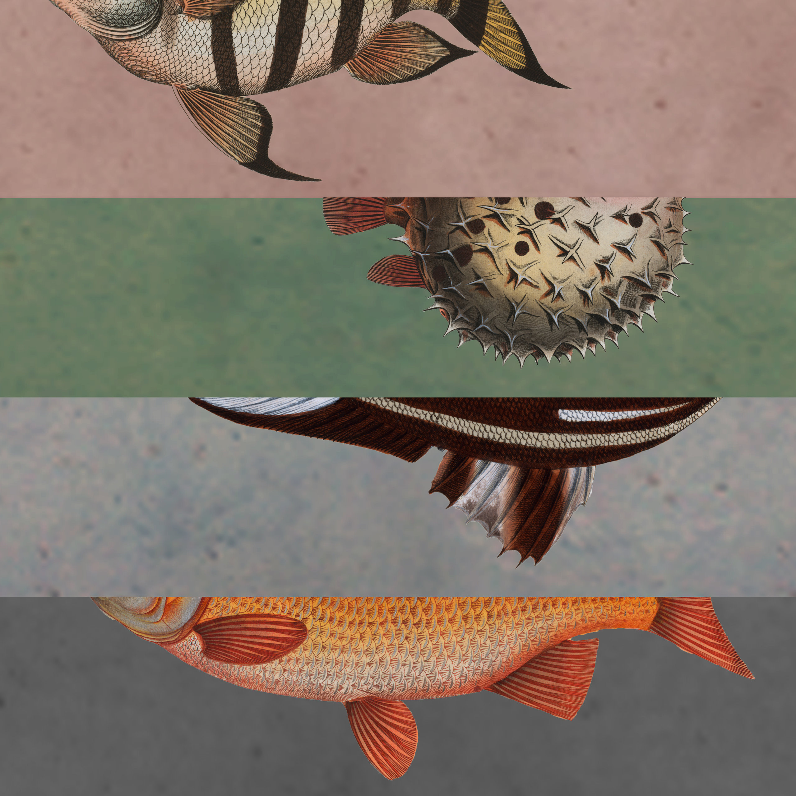 Fins and Tails Under Table, 15", 15" - Beach Style - Side Tables And ...