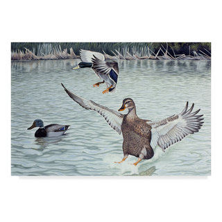 Rusty Frentner 'Decoyed Ducks' Canvas Art, 19"x12" - Rustic - Prints ...