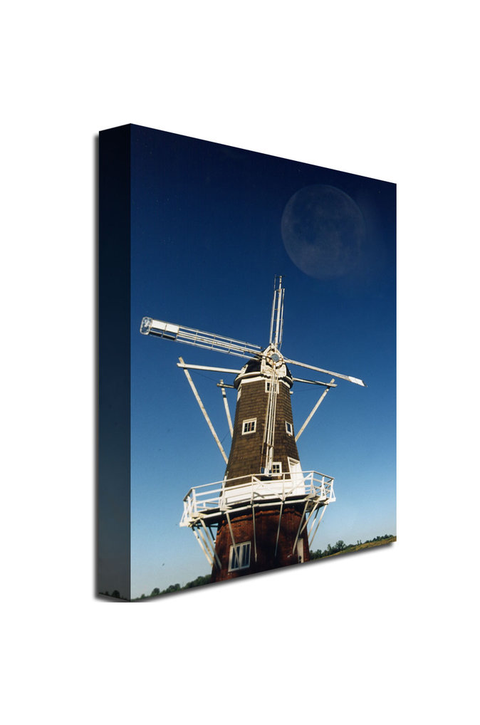 'Moon Exposed' Canvas Art by Nicole Dietz, 22" x 32" - Traditional ...