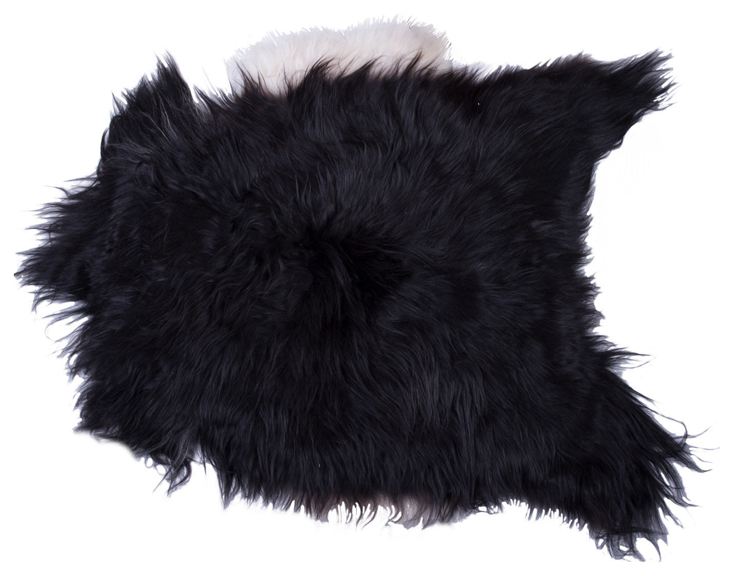 Icelandic Sheepskin Single Long-Haired Rug, Black/White Spotted, 2'x3 ...
