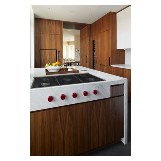Tribeca - Contemporary - Kitchen - New York - by KJ Remodeling of NY ...