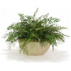 Springerii and Fern Mixture in a Oval Beige with Bronze Rim Ceramic ...
