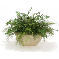 Springerii and Fern Mixture in a Oval Beige with Bronze Rim Ceramic ...