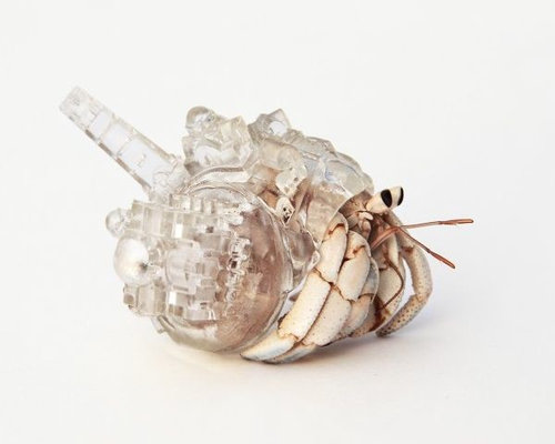 Custom Home for Hermit Crabs