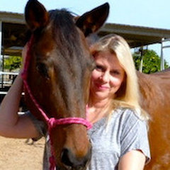 AZ LUXURY STAGING BY KIM GERO - Project Photos & Reviews - Surprise, AZ ...