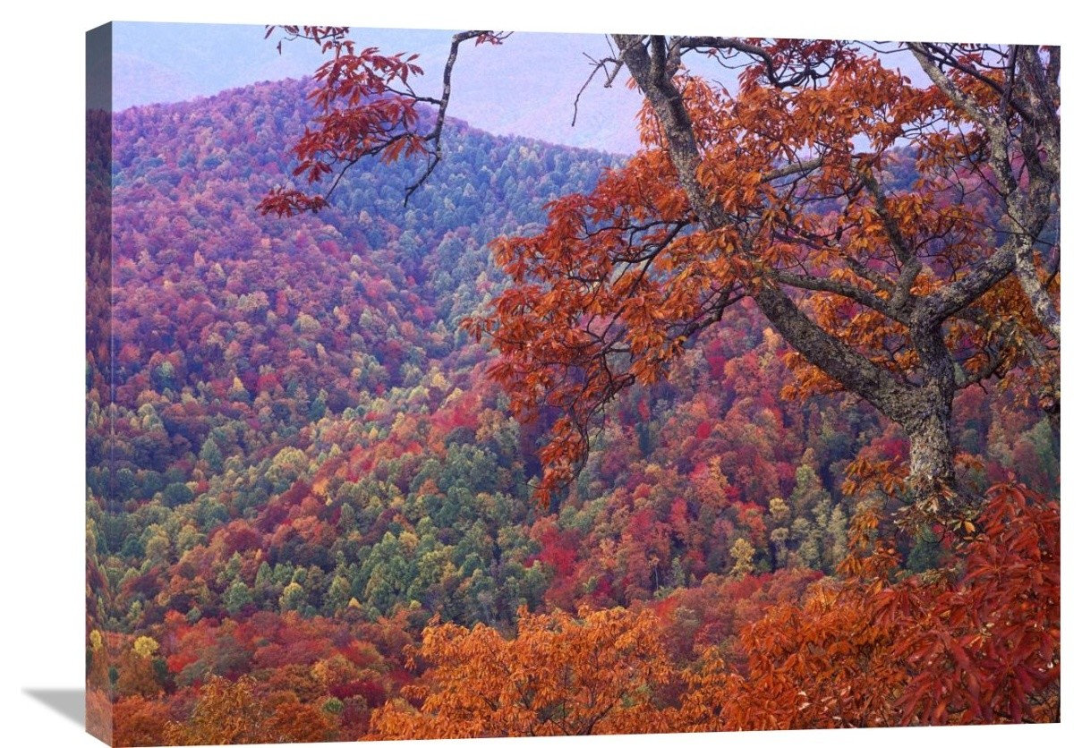 "Blue Ridge Range, Near Buck Creek Gap, North Carolina" Artwork, 32" x ...