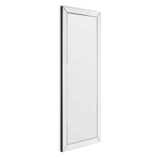 Apala Rectangle Silver Mirror with Black Outer Frame - Contemporary ...