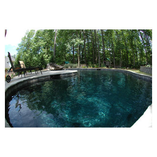 The customer wanted a pool that looks like a pond! - Pool - Atlanta ...