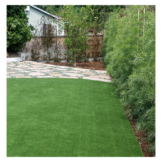 Privacy Hedge--Podocarpus - Landscape - Los Angeles - by Flores ...