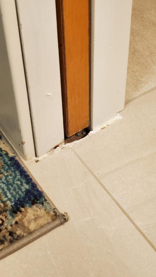 Flooring/Pocket Door Ideas