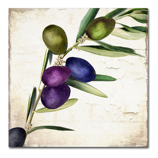 Color Bakery 'Olive Branch III' Canvas Art, 24 x 24 - Farmhouse ...