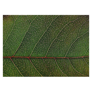 Leaf Textures 1 Area Rug, 5'0"x7'0" - Contemporary - Novelty Rugs - by ...
