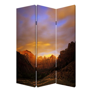 48 X 72 Multi Color Wood Canvas Desert Screen - Southwestern - Screens ...