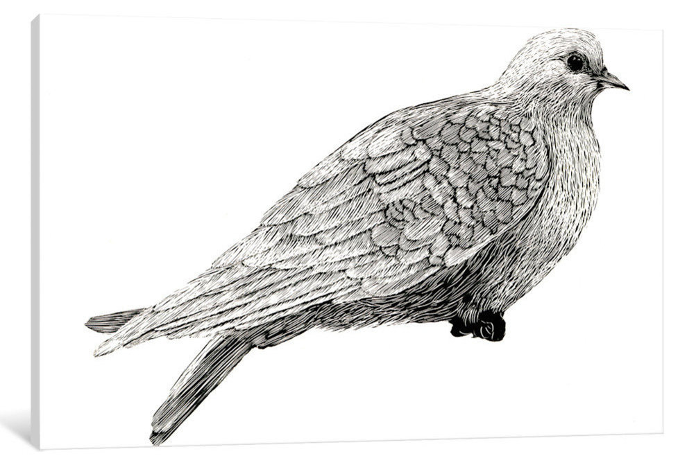 "Peace And Joy Dove Element" by Sara Zieve Miller, 12x8x.75, 26x18x1.5 ...