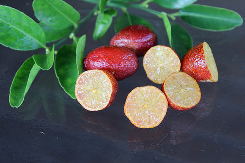 Australian red lime / Blood lime