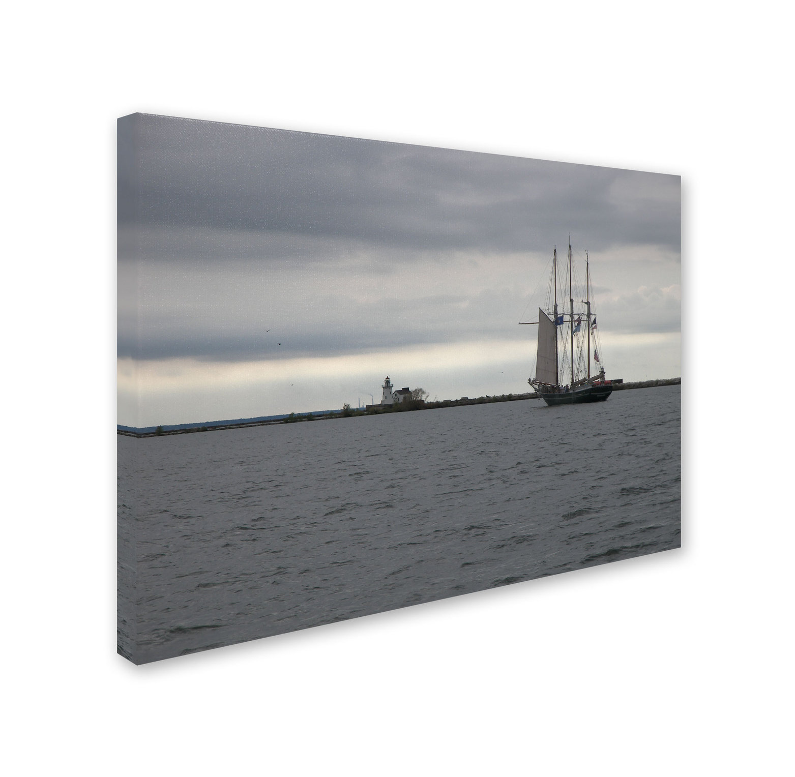 'Breaking Boundary' Canvas Art by Monica Fleet, 14" x 19" - Beach Style ...