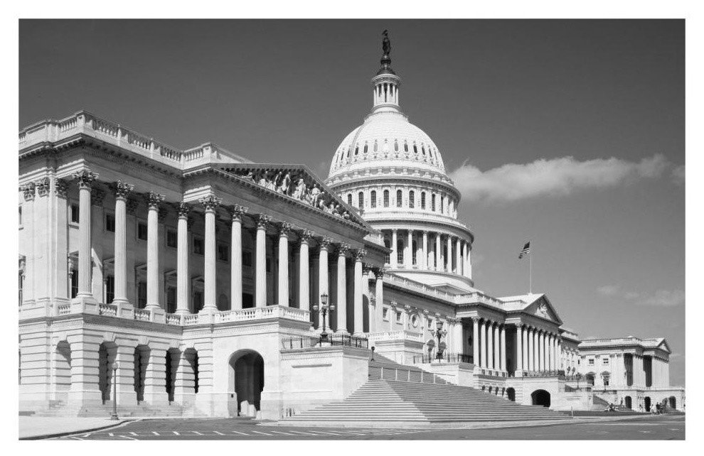 "U.S. Capitol, Washington, D.C. - Black and White Variant" Paper Art ...