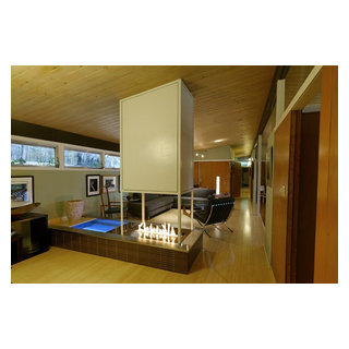 Spark Modern Fires - Contemporary - New York - by Spark Modern Fires ...