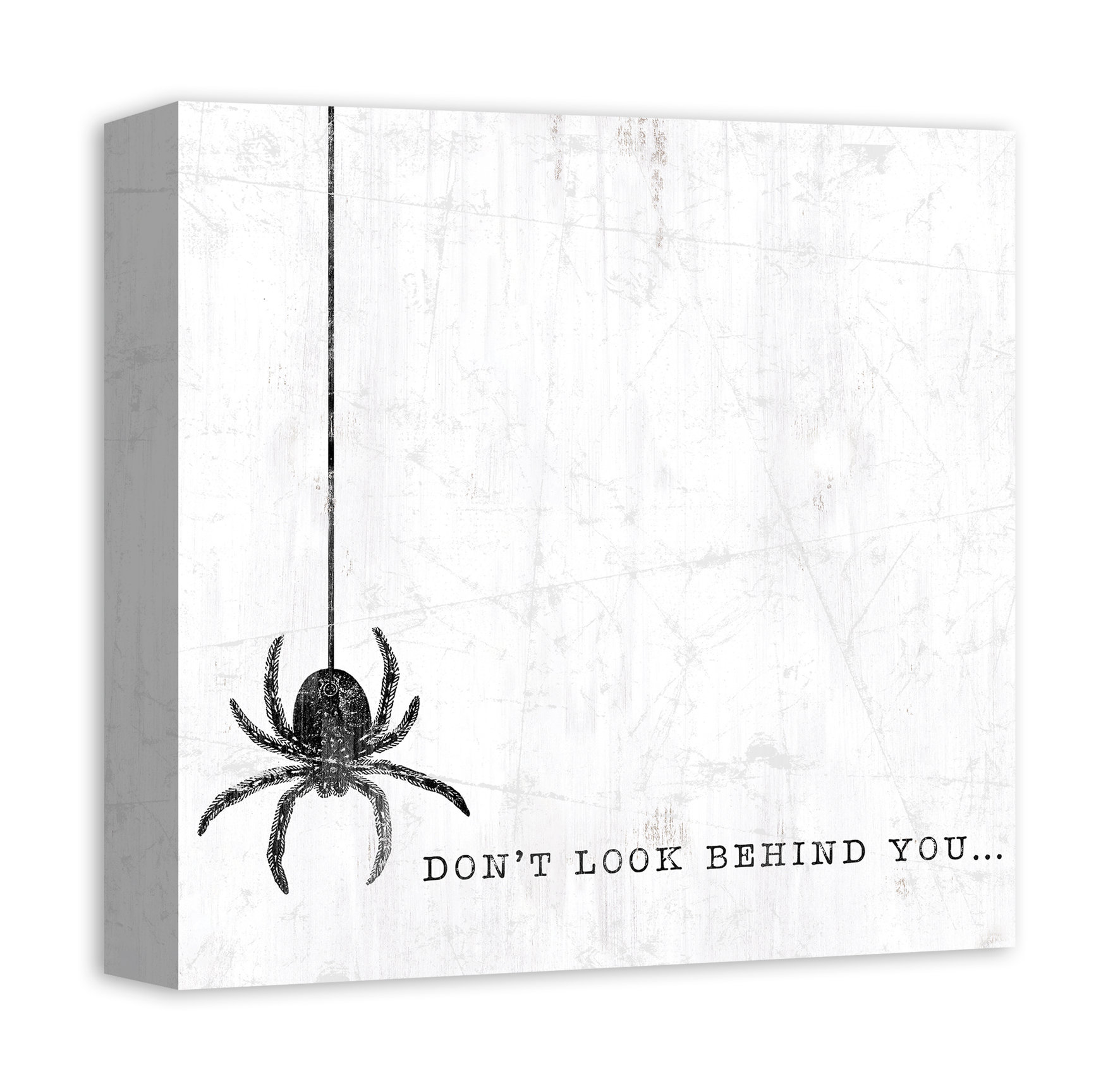 Look Behind You Spider 12x12 Canvas Wall Art, 12x12 - Contemporary ...
