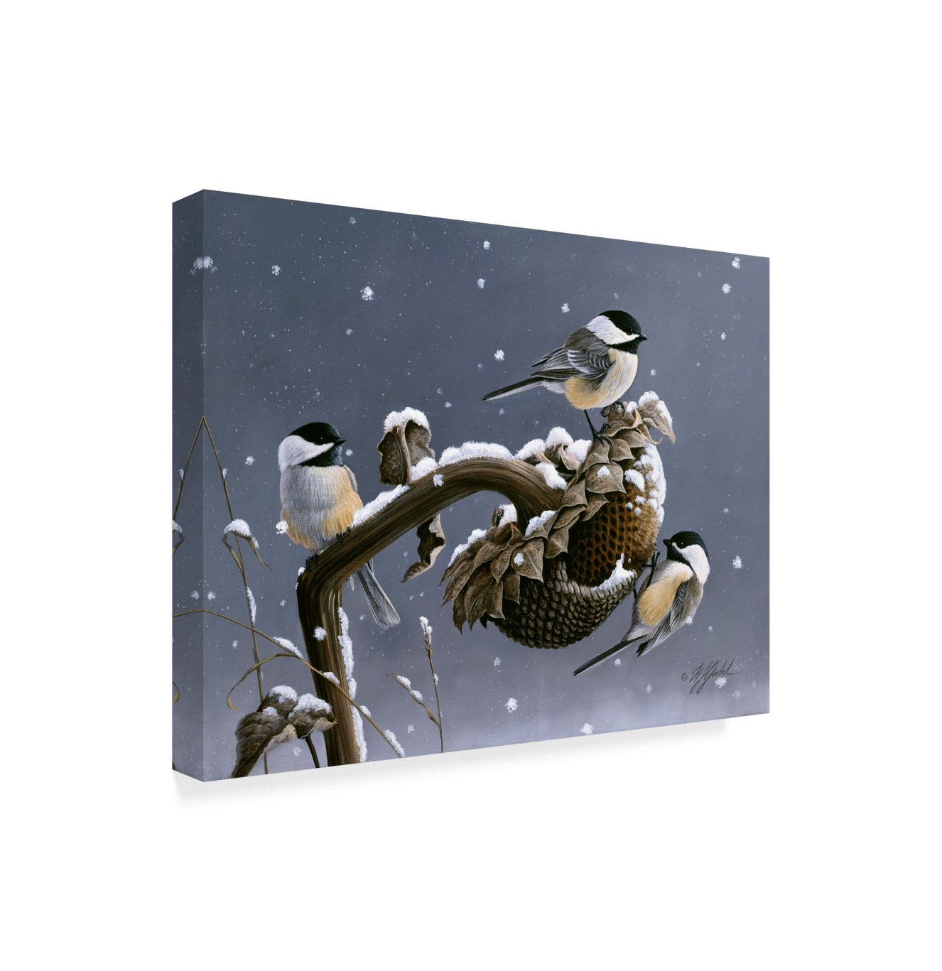 Wilhelm Goebel 'Winter Trio Sunflower' Canvas Art, 32"x24" - Farmhouse ...
