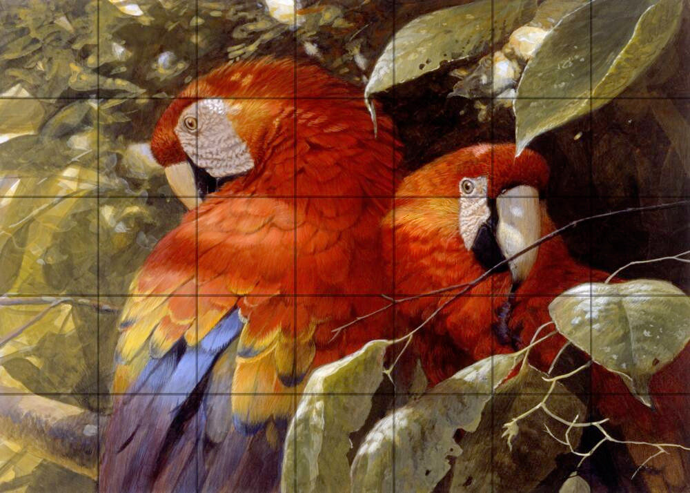 Tile Mural Kitchen Backsplash Macaw Pair by John Seerey-Lester, 29.75 ...