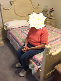 Lexington chez michelle Bedroom Set - 7 piece