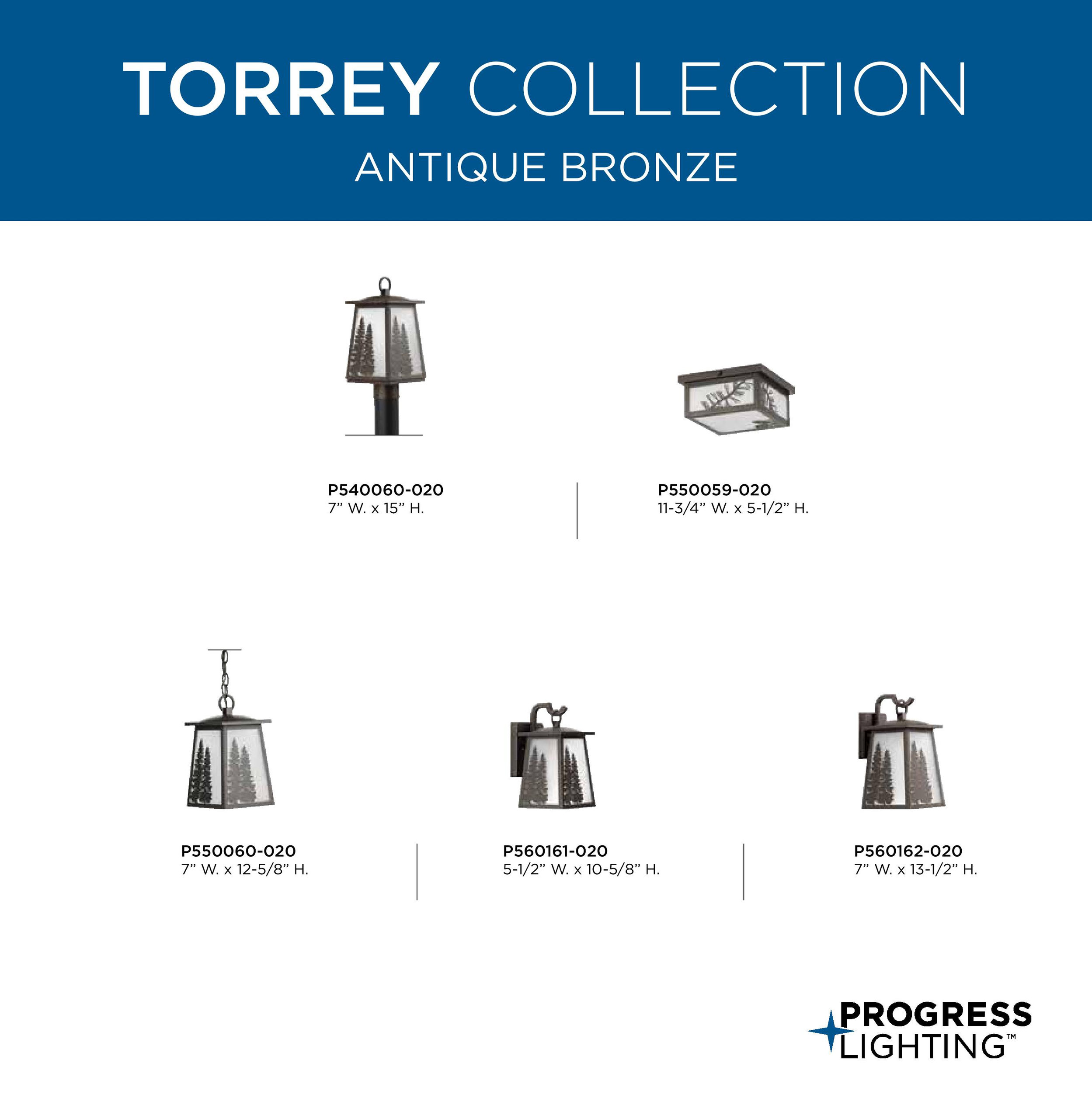 Torrey Collection Antique Bronze 1-Light Hanging Lantern - Rustic ...