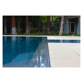 Arden-Arcade Perimeter Overflow Pool - Modern - Sacramento - by Wells ...
