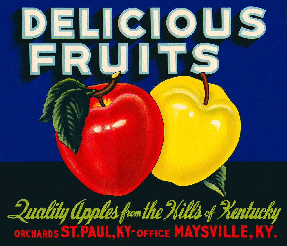 Delicious Fruits Print, 36" x 46" - Contemporary - Prints And Posters ...
