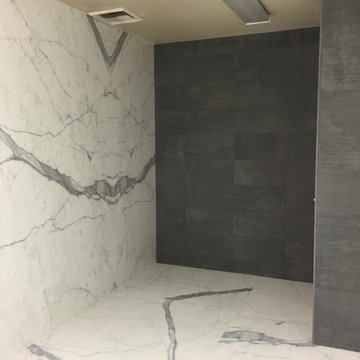 Large Format Porcelain Panels - Photos & Ideas | Houzz